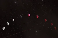 Origins of Astrology | Astrogram